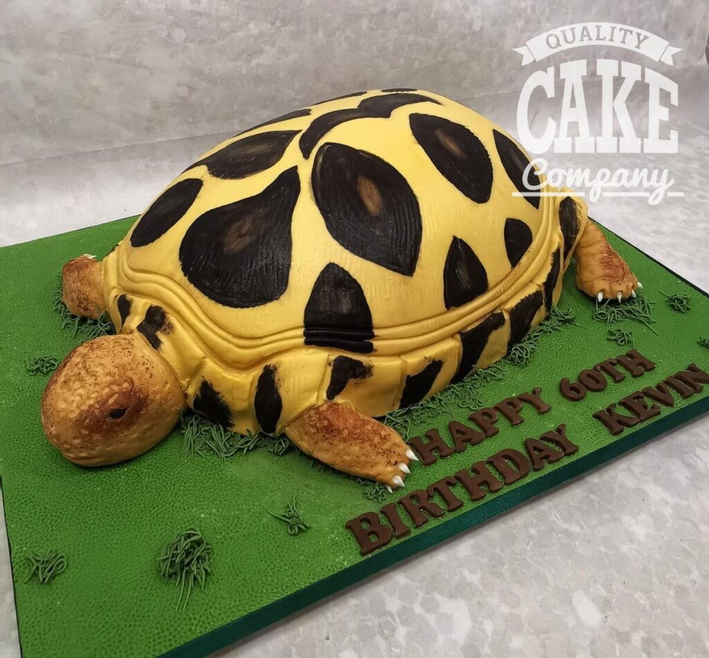 Novelty Shaped Cakes - Quality Cake Company Tamworth